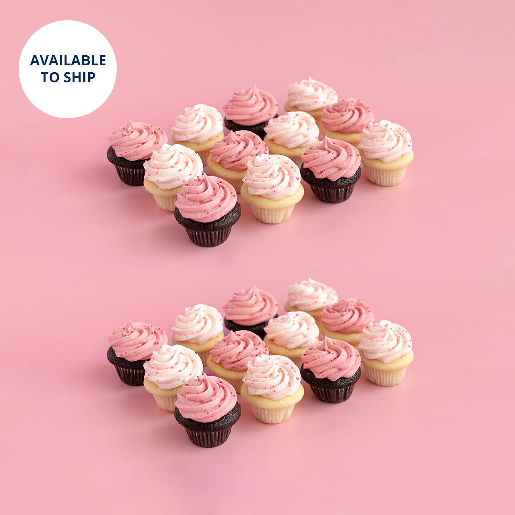 Crave Cupcakes - Pink Mini Cupcake Dozen | Two Pack